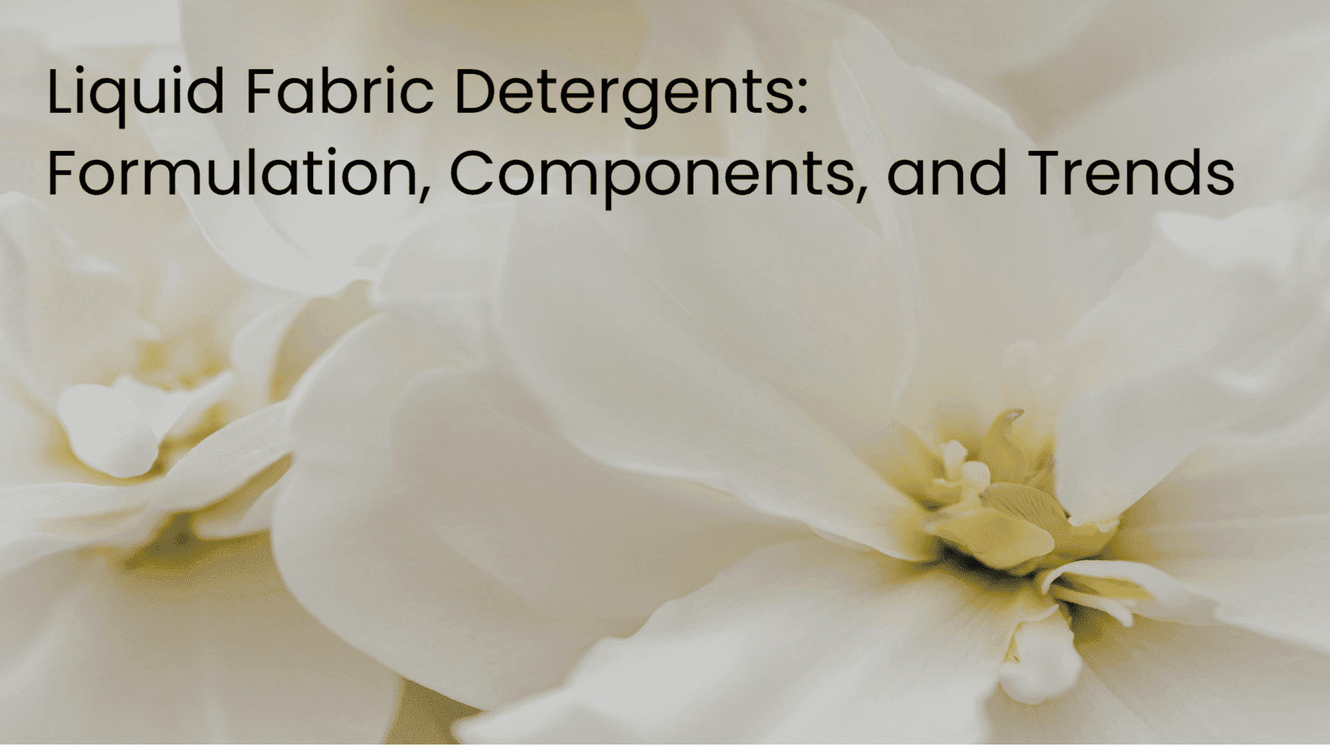 Liquid Fabric Detergents: Formulation, Components, and Trends